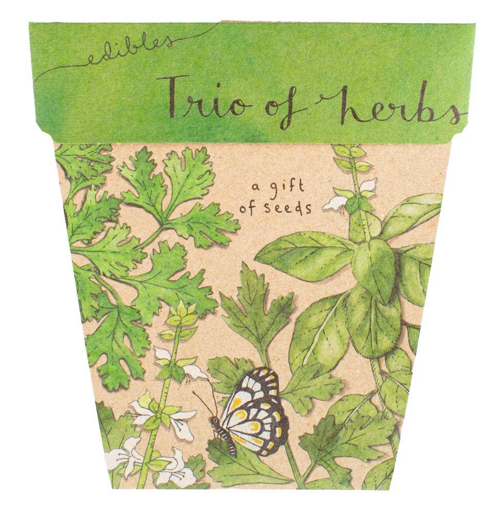 SEED CARDS – thefoodimpostor